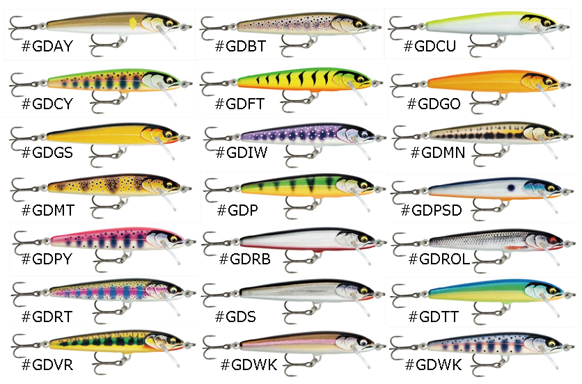 FE85-GDYM 【市場】ラパラ 私はギル